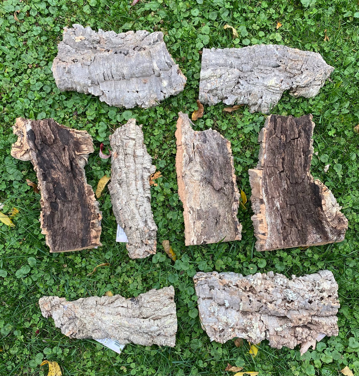 Cork Slab - Medium – Ravenvision Orchid Supplies