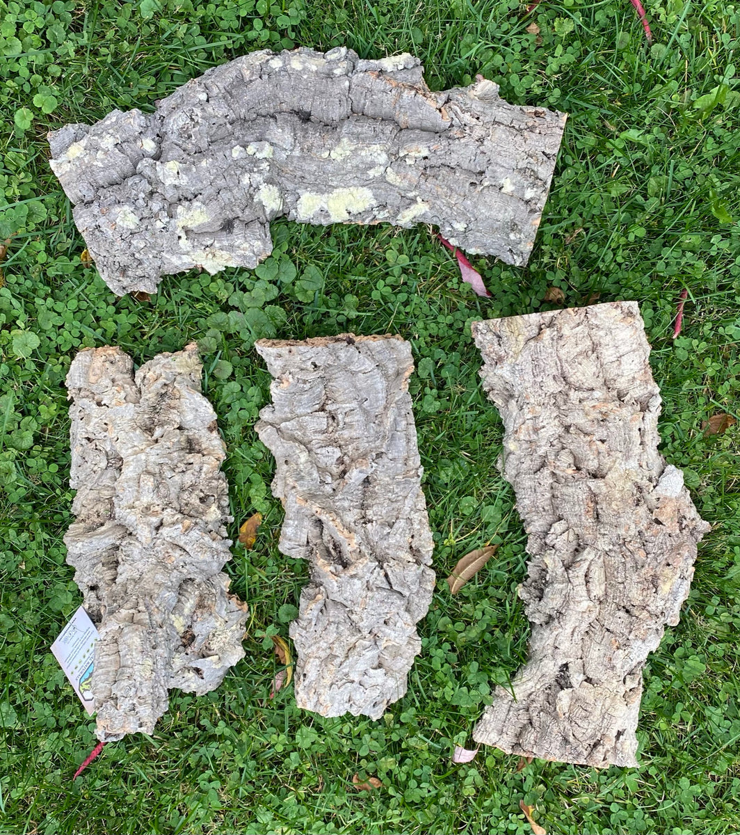 Cork Slab - Large – Ravenvision Orchid Supplies